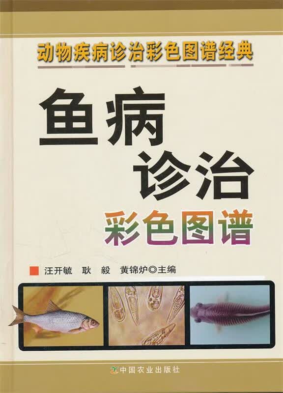 鱼病诊治 彩色图谱 黄锦炉 中国农业出版社
