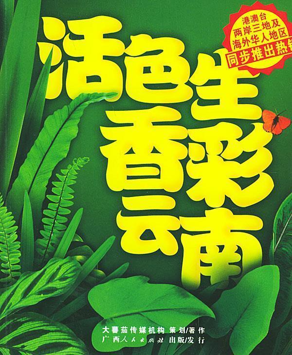 活色生香彩云南 大蕃茄传媒机构 著