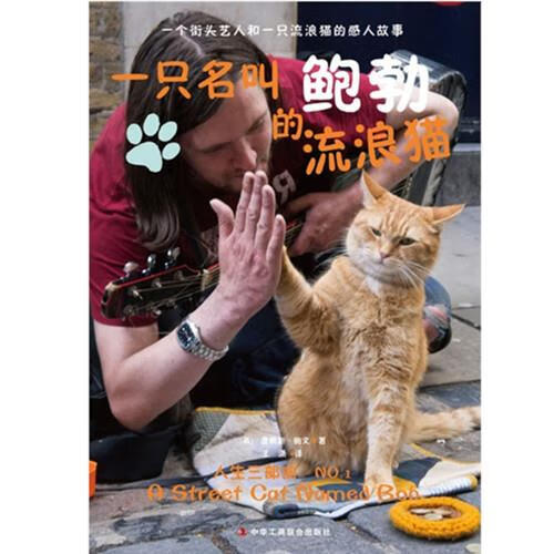 一只名叫鲍勃的流浪猫