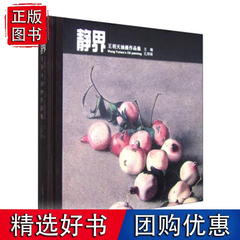 静界王羽天油画作品集 中国美术学院出版社大师色彩孔祥涛主编