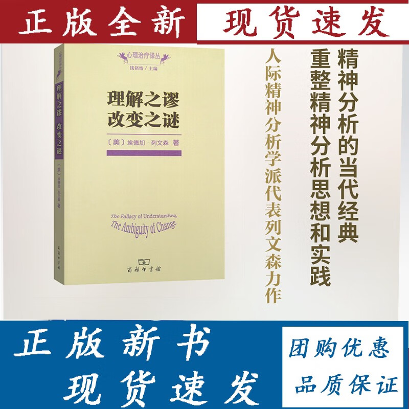 理解之谬/改变之谜(心理治疗译丛) [美]埃德加·列文森 陈祉妍 沈东郁 译