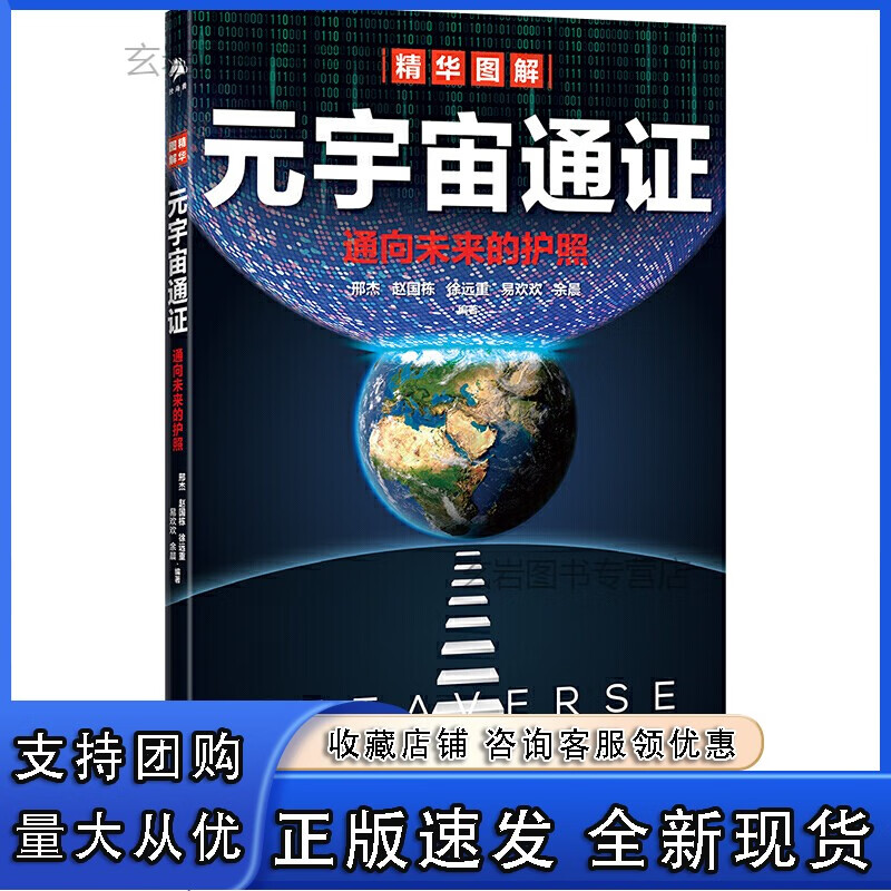 n元宇宙通证 邢杰等 中译出版社