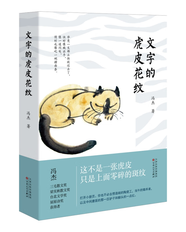 文字的虎皮花纹 冯杰