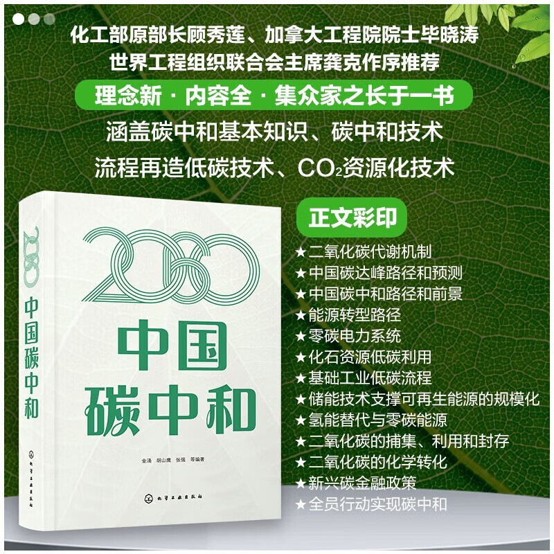 2060中国碳中和 金涌 胡山鹰 张强 中国工程院碳中和技术研究 碳达峰碳中和能源转型化石资源低碳利用再造基础工业低碳流程二氧化碳捕集利用与化学转化可再生能源与氢能规模化利用等低碳技术参考书籍