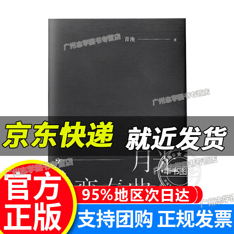 月光变奏曲4
