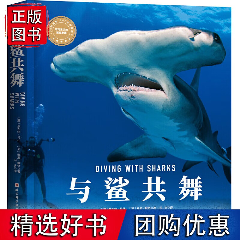 与鲨共舞