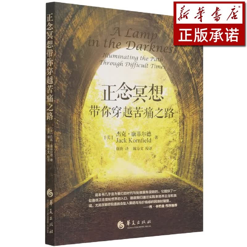 正念冥想带你穿越苦痛之路