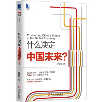 什么决定中国未来？ 沈建光【书】