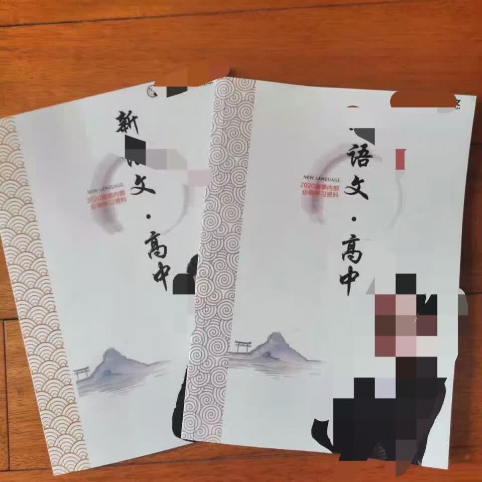 hong老师新语文,高中20全年暑秋寒春 4本书 洪老师 高中语文