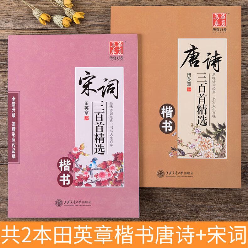 田英章楷书字帖硬笔行书字帖唐诗宋词三百首书法练字本古诗词练字 楷书套装(唐诗三百首+宋词三百
