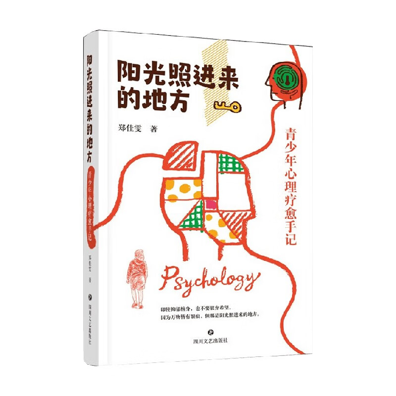 阳光照进来的地方 青少年心理疗愈 郑佳雯 著 心理学