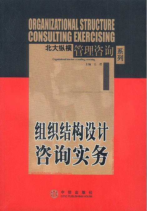 组织结构设计咨询实务 王璞 等著