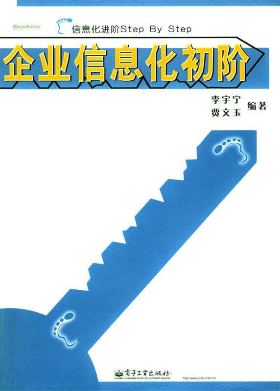 企业信息化初阶【好书，下单速发】