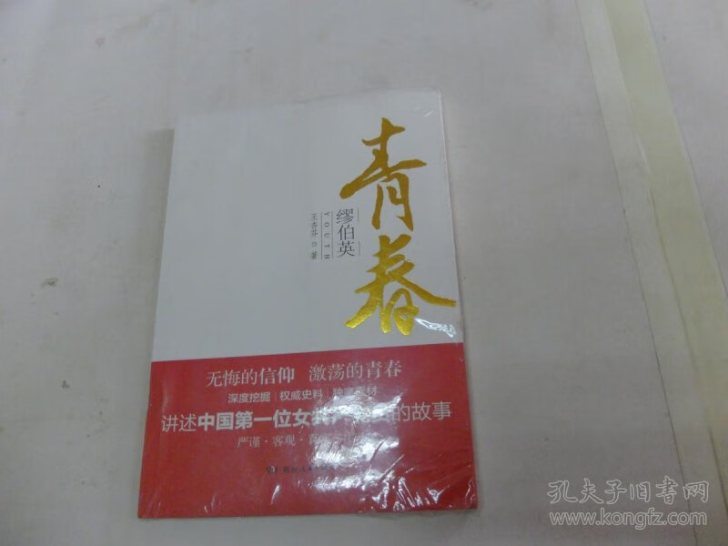 青春缪伯英【好书】
