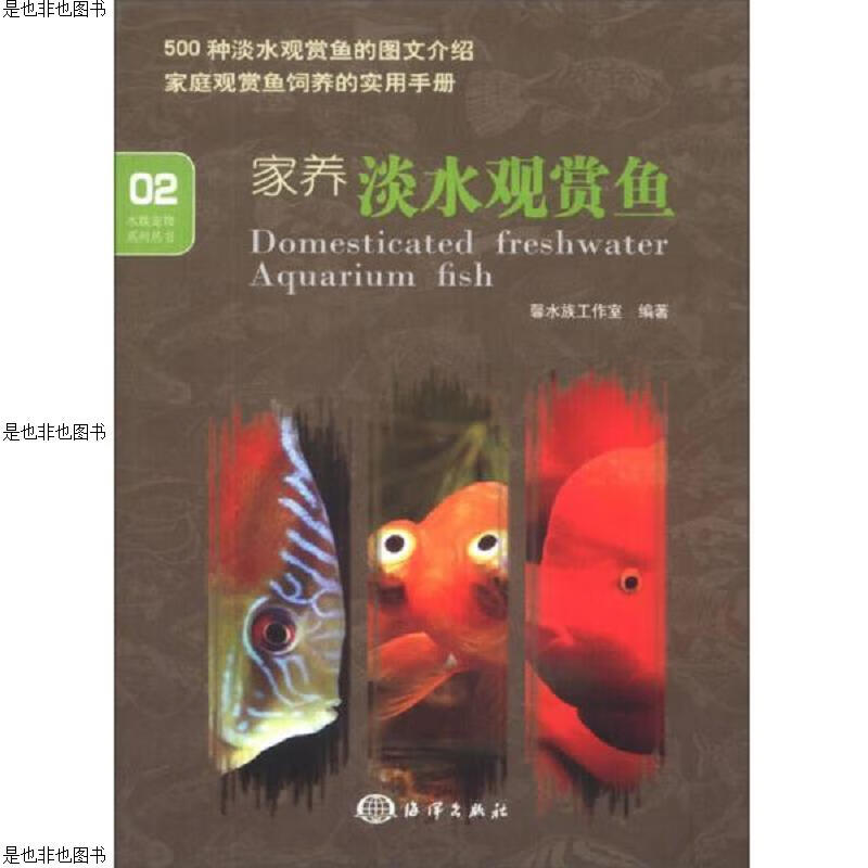 家养淡水观赏鱼