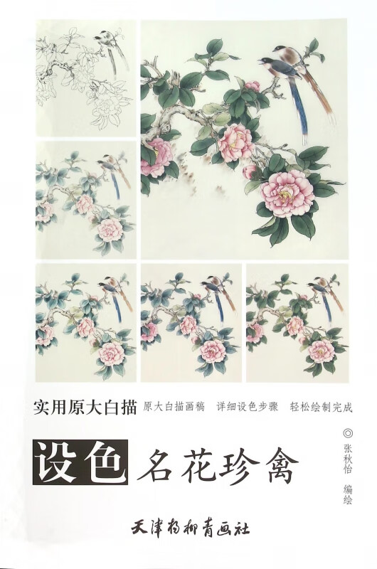 设色名花珍禽(实用原大白描)