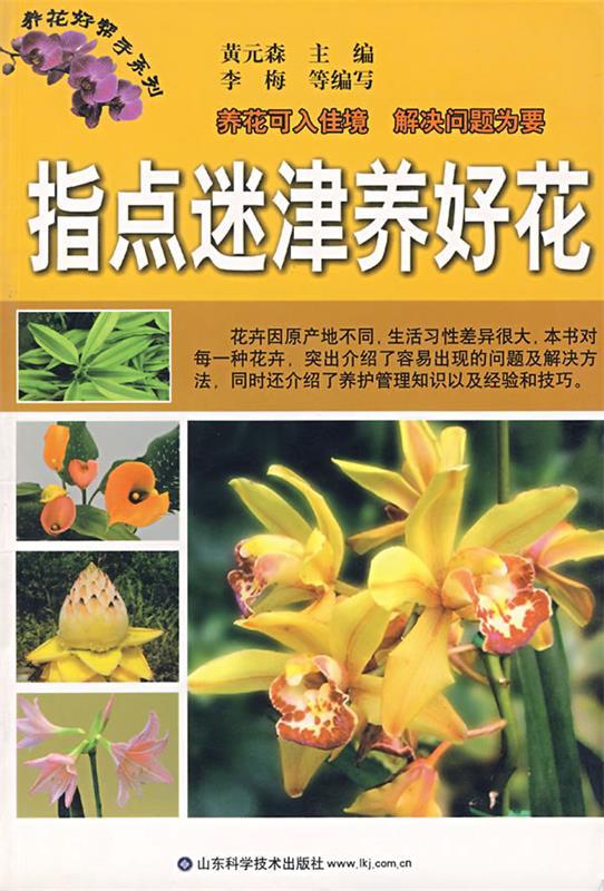 指点迷津养好花 黄元森 主编