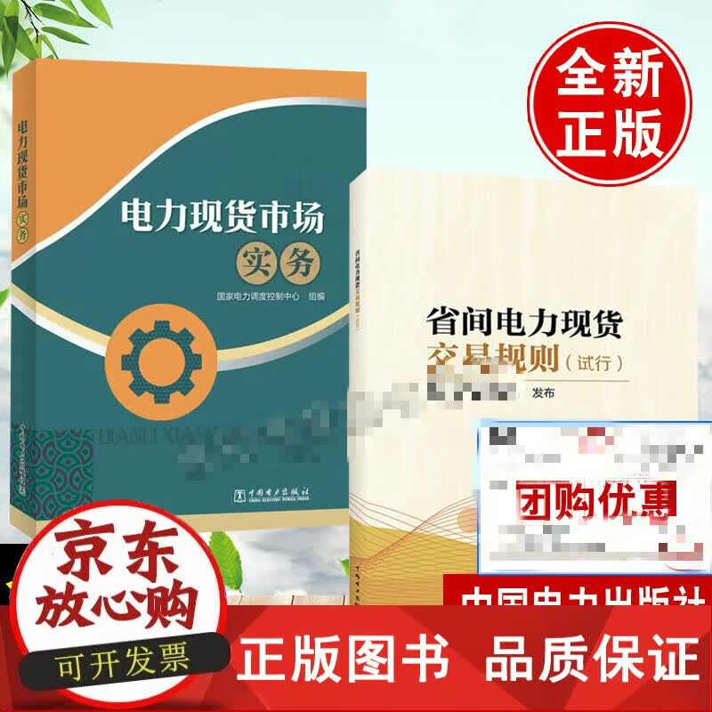 全2册】电力现货市场实务+省间电力现货交易规则 试行电力现货市场建设关键时期电力市场体系电力现货市场规