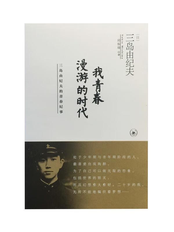 我青春漫游的时代【书籍，畅读优品】