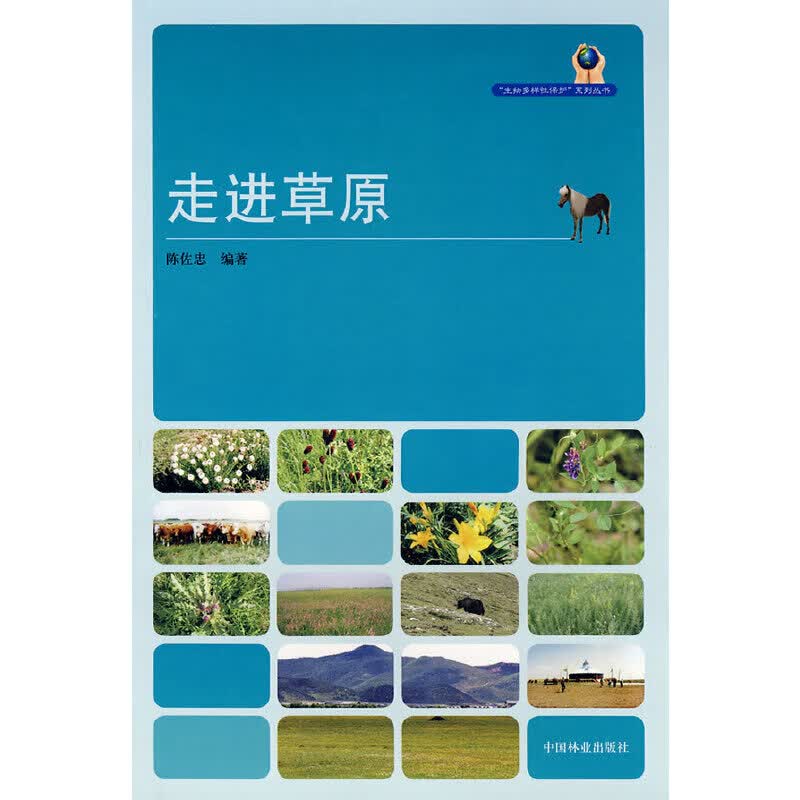 走进草原