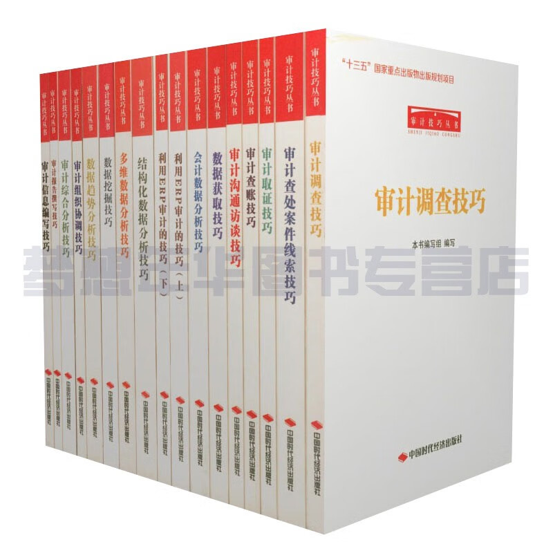 审计技巧丛书全套17册 本书编写组编写 中国时代经济出版社出版