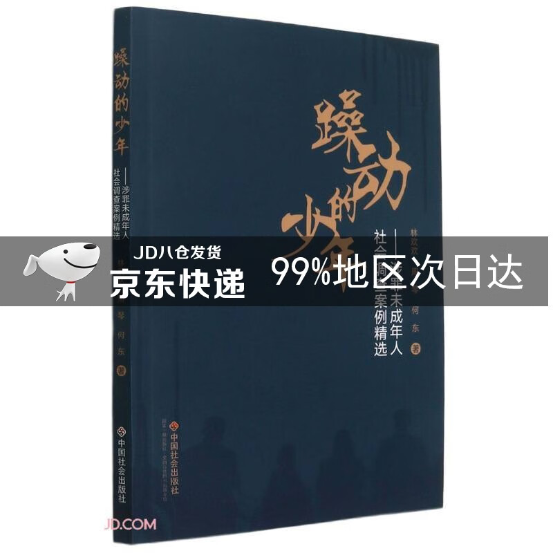躁动的少年--涉罪未成年人社会调查案例精选
