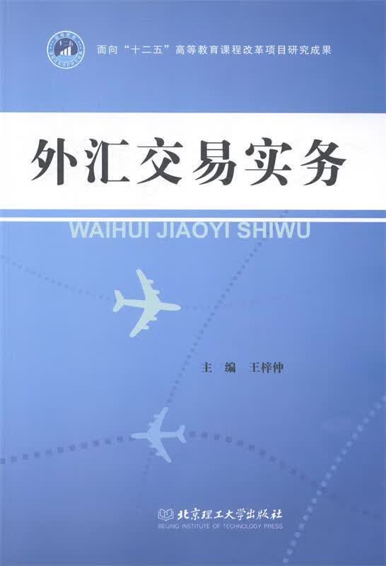 外汇交易实务 王梓仲 编【书】