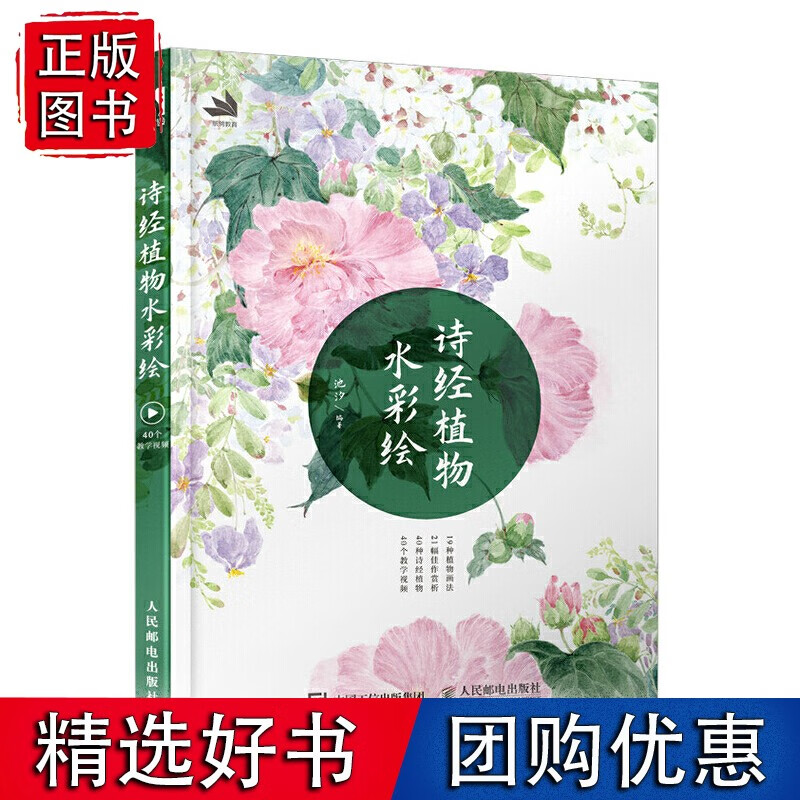 诗经植物水彩绘 古风水彩植物插画教程