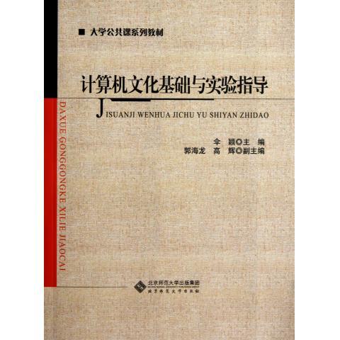计算机文化基础与实验指导 伞颖 9787303128716