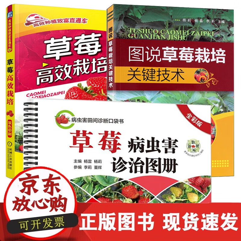 速发 （全3册）草莓病虫害诊治图册（全彩版）+草莓高效栽培(高效种植致富直通车)+图说草莓栽培关键技