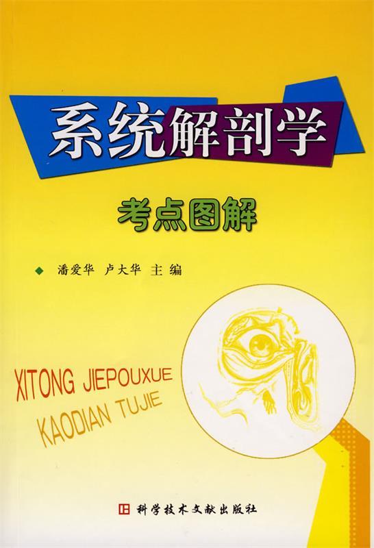 系统解剖学考点图解
