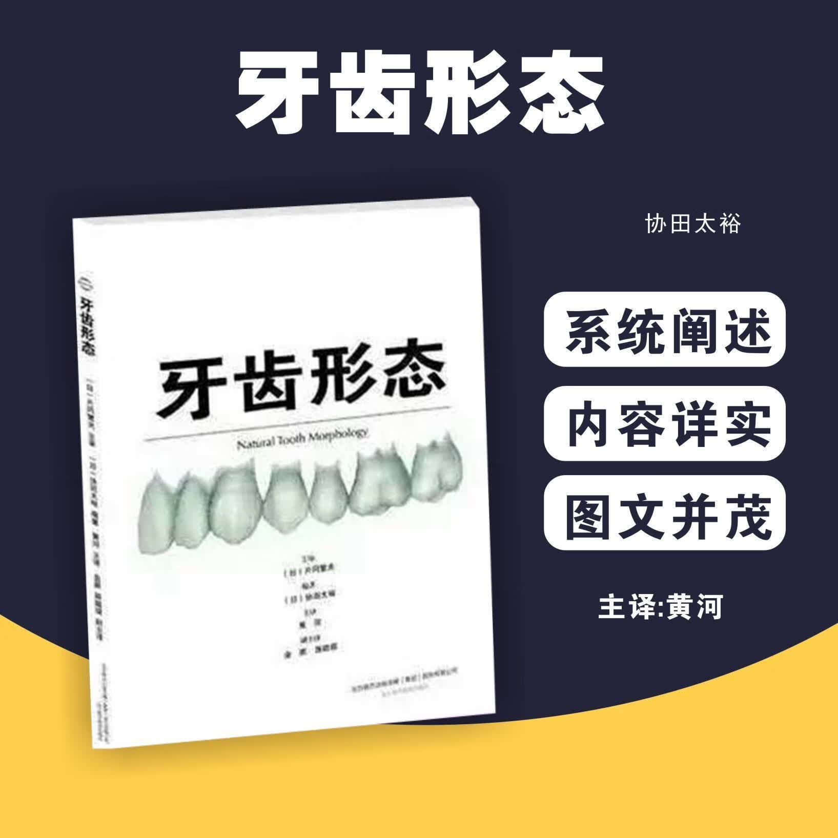 牙齿形态