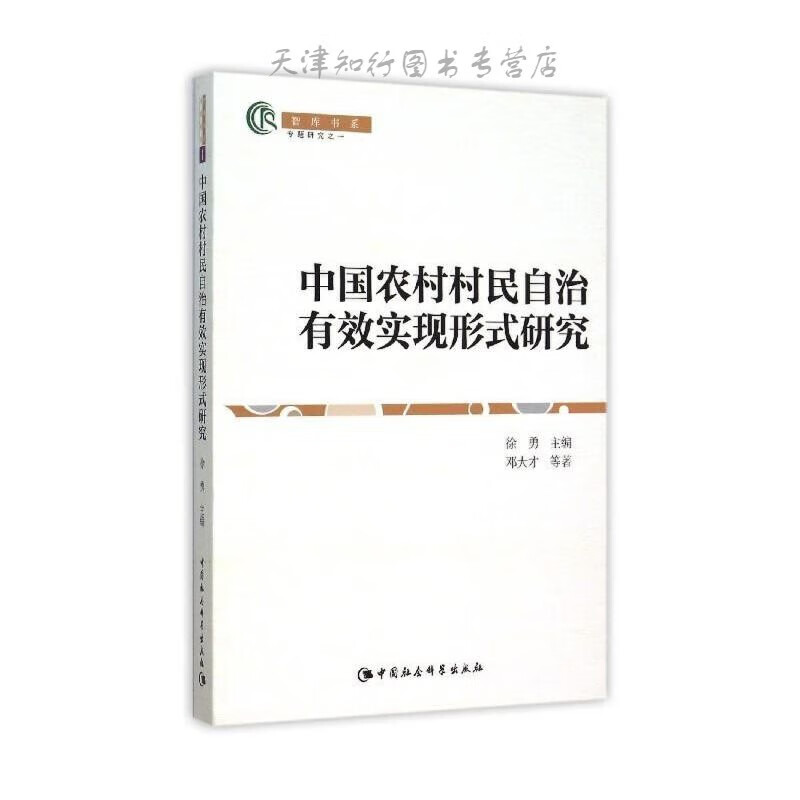 中国农村村民自治有效实现形式研究（智库书系）