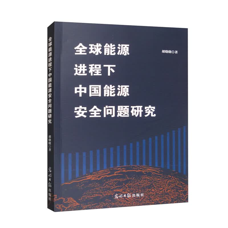 全球能源进程下中国能源安全问题研究