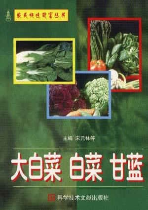 大白菜 白菜 甘蓝