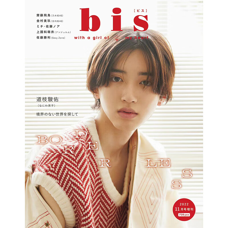 现货 bis 2022年11月号增刊 封面 道枝骏佑 佐藤胜利 日本杂志 进口杂志