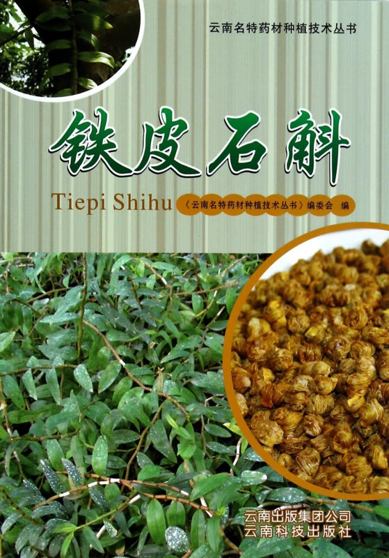 铁皮石斛/云南名特药材种植技术丛书