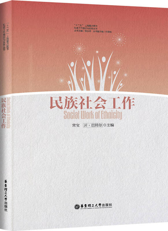 民族社会工作【好书】
