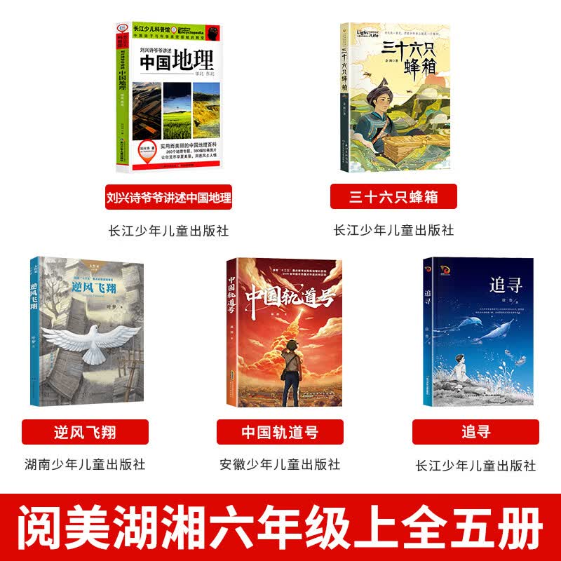 2023阅读六年级上下全套课外书逆风飞翔中国轨道号追寻少年与海雨季的阳光半条棉被刘兴 六年级满星上册5本