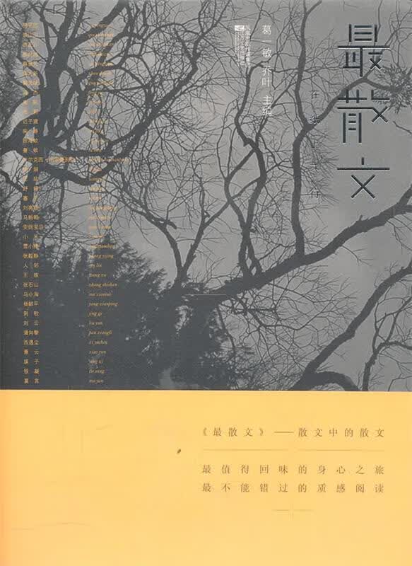 散文:在纸上飞行