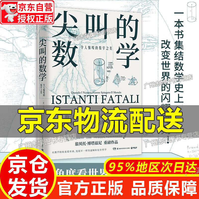 尖叫的数学 令人惊叹的数学之美（国际数学杂志《数学史》前主编翁贝托·博塔兹尼带你从数学的角度看世界） 尖叫的数学