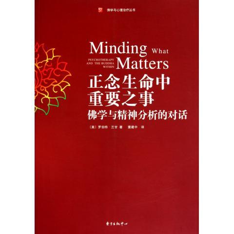 正念生命中重要之事:佛学与精神分析的对话 [美] 罗伯特·兰甘 著,董建中 译 东方出版中心