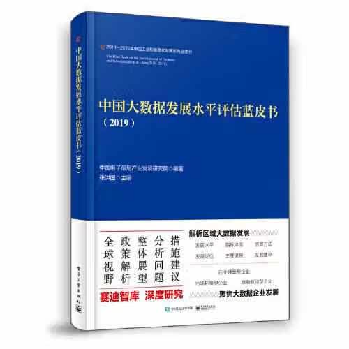 中国大数据发展水平评估蓝皮书（2019） 中国电子信息产业发展研究院 电子工业出版社 9787121