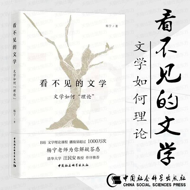 现货 看不见的文学： 文学如何“理论” 杨宁 著 中国社会科学出版社 哔哩哔哩（B站）知名up主 西竹书院杨宁老师 文学理论课程认识文学