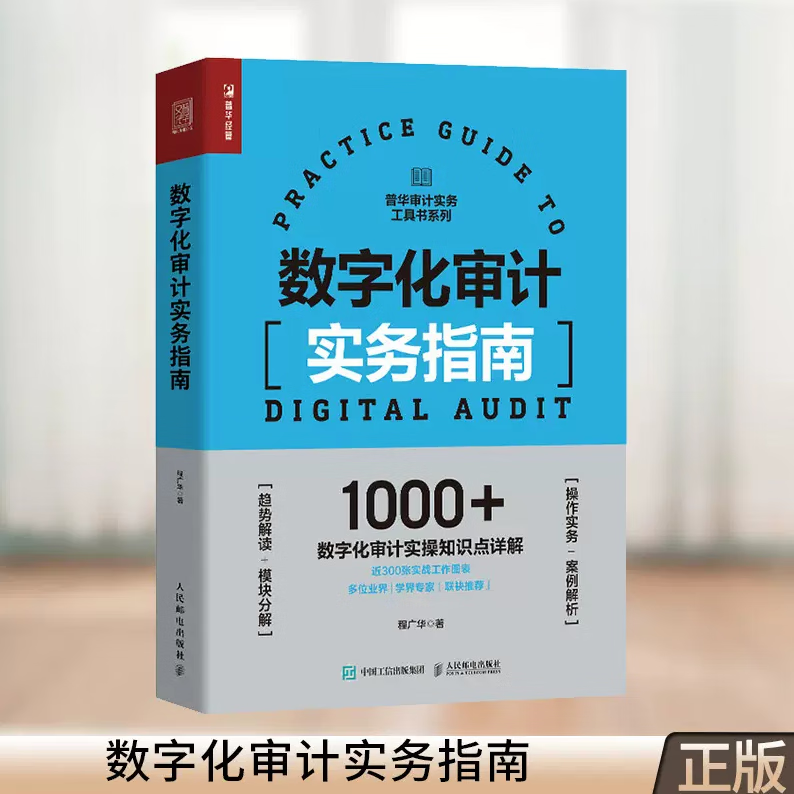 数字化审计实务指南 趋势解读+模块分析+操作实务+案例解析 1000+数字化审计实操知识点详解