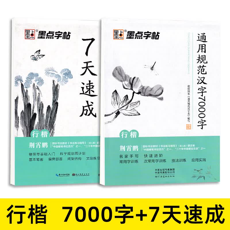 荆霄鹏行楷字帖练字成年男肖荆鹏霄楷书行楷字帖女生字体漂亮墨点 行楷-7000字+7天速成