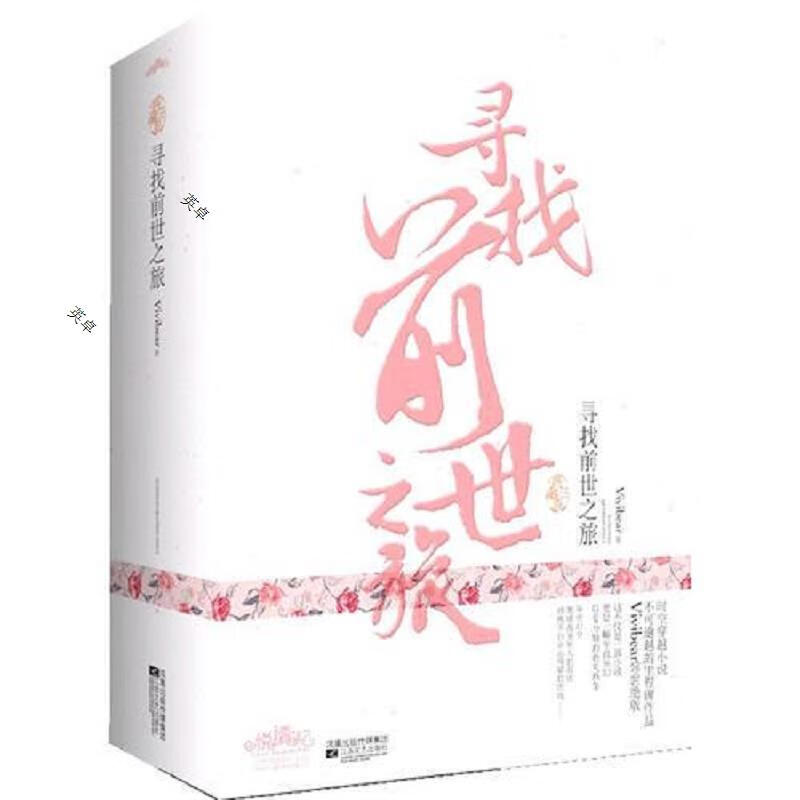 寻找前世之旅(典藏版) (时空穿越小说不可逾越的里程碑作品 vivib