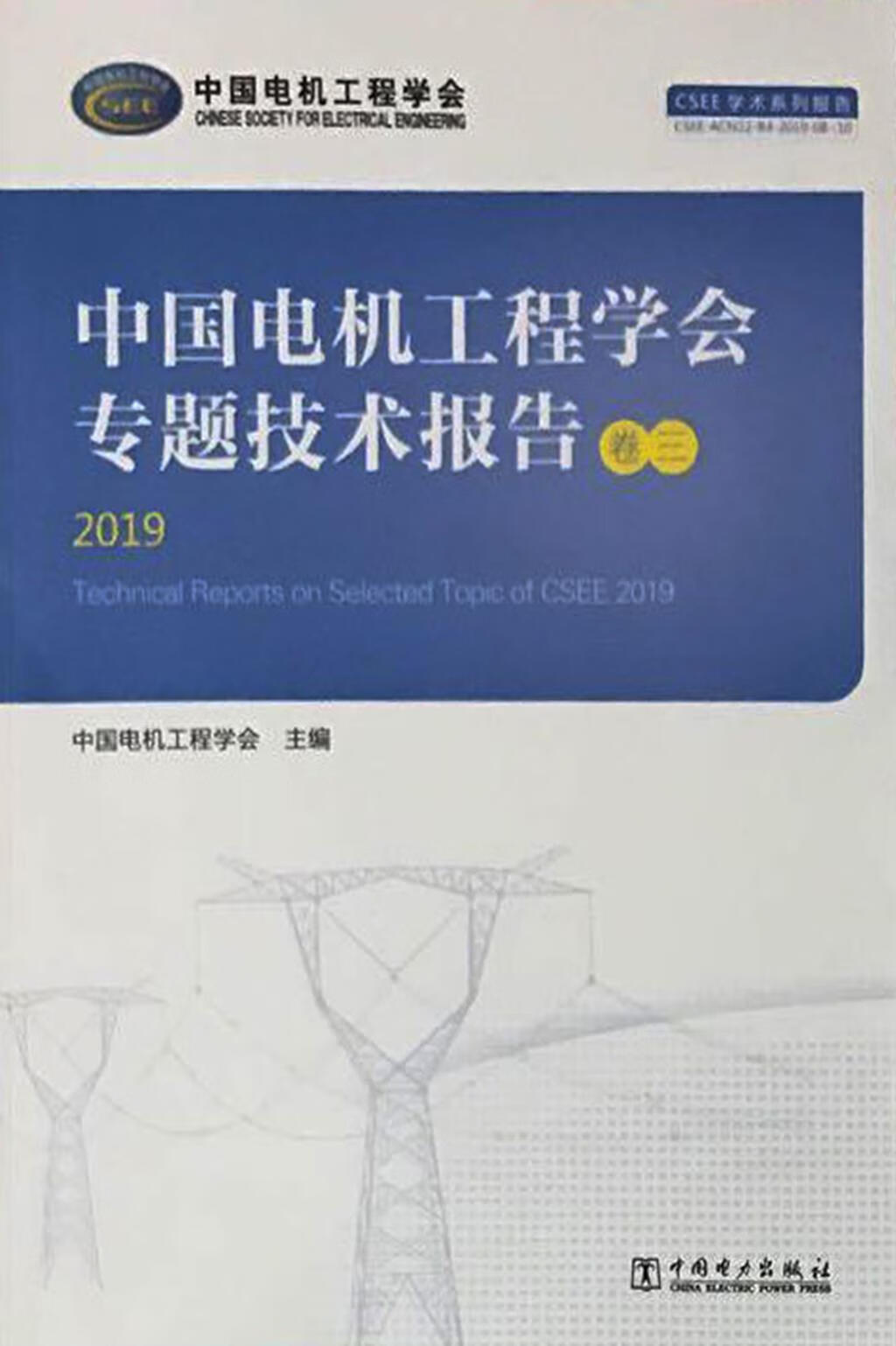 中国电机工程学会专题技术报告2019 上中下 中国电机工程学会主编 中国电力出版社