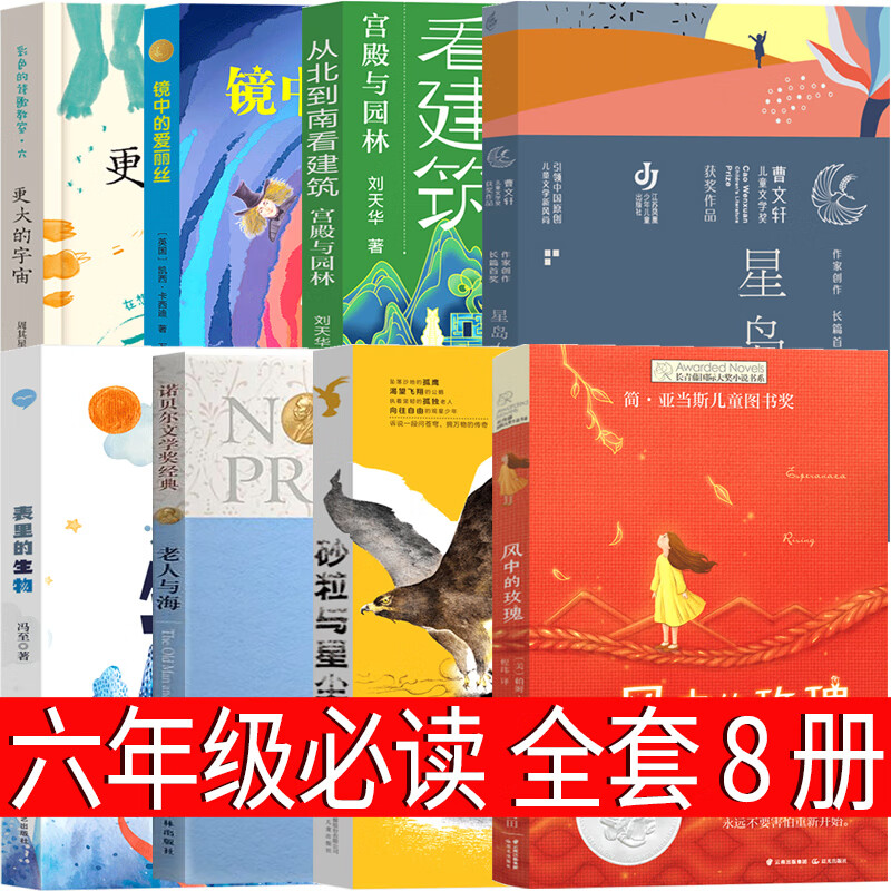 砂粒与星尘 六年级必读的课外书老师推荐经典上册 薛涛著安徽少年儿童出版社风中的玫瑰更大的宇宙镜中的爱丽 六年级套装全8册