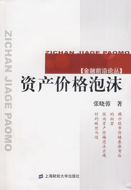 资产价格泡沫—金融前沿论丛